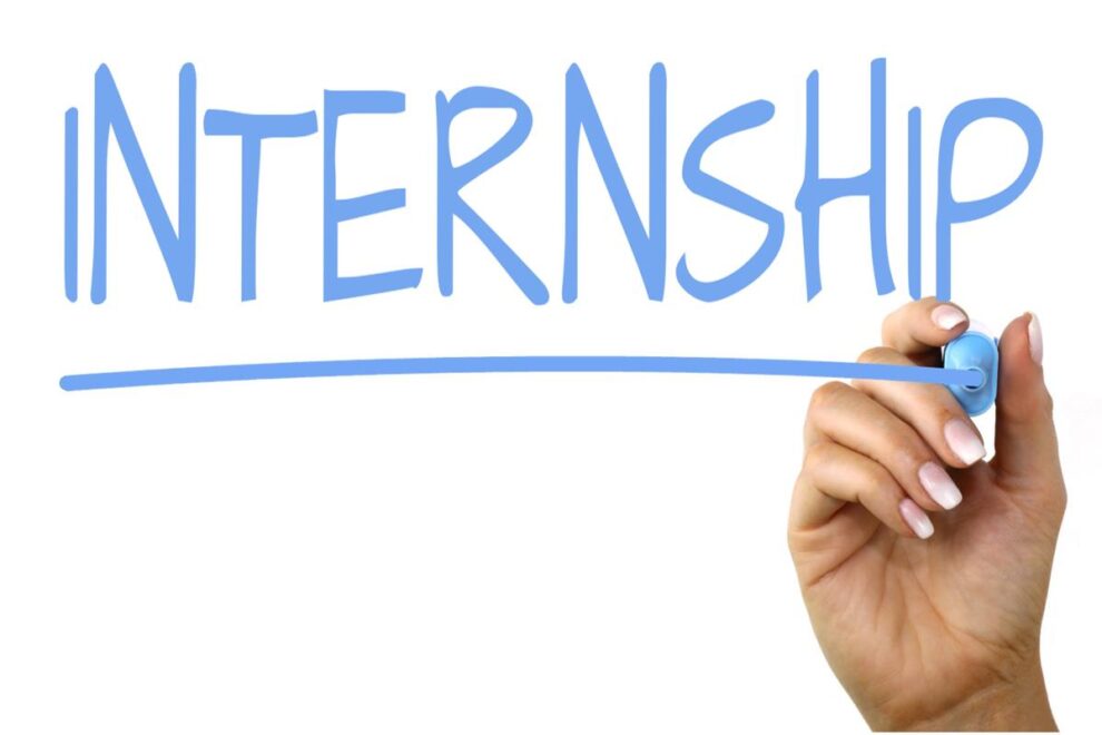 The Essential Value of Internships 2025/2026 - Darketer